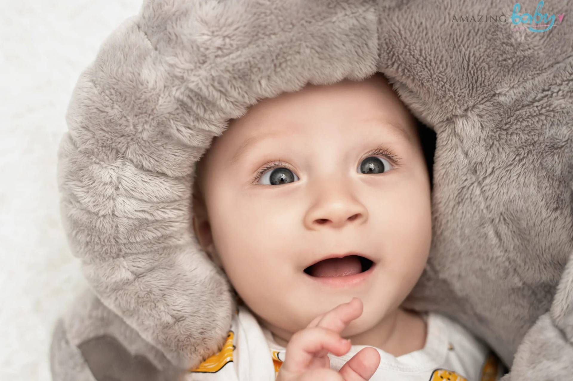 Amazing Baby Studio Sdn Bhd